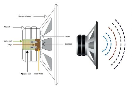 Why Do Speakers Have Magnets? Electromagnetism In Speaker Explained